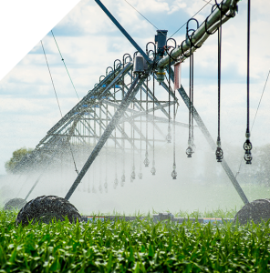 Residential and Commercial Irrigation – Rust Remove – Periodic Products